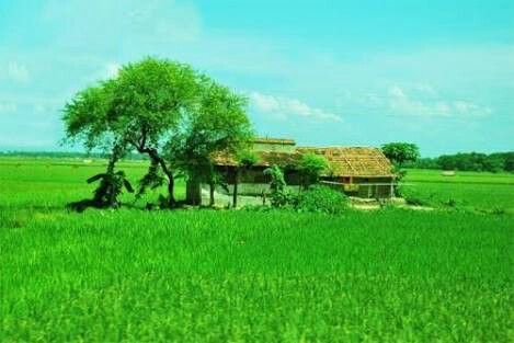 land gov bd | ই খতিয়ান অনুসন্ধান